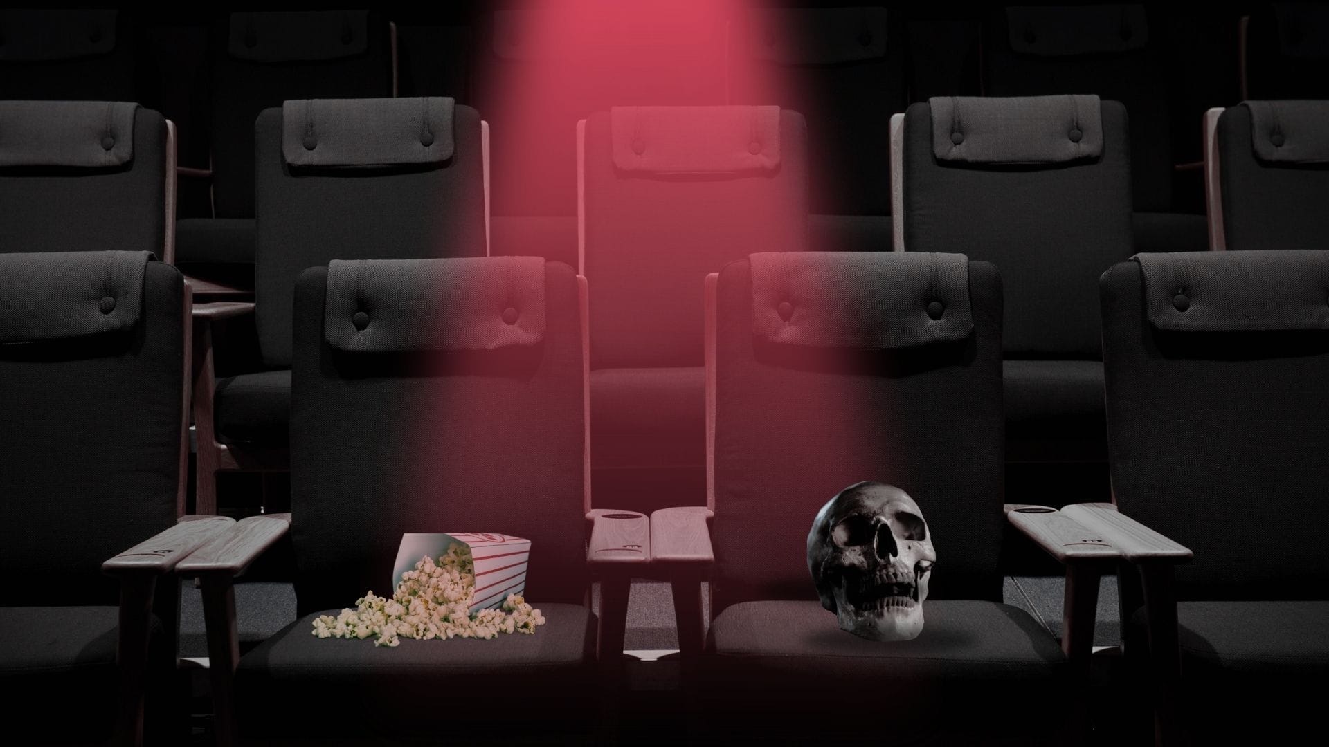 Tyneside Cinema - Newcastle upon Tyne's leading independent cinema